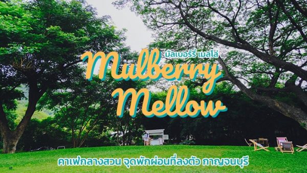 Mulberry Mellow คาเฟ่กลางสวน จุดพักผ่อนที่ลงตัว กาญจนบุรี
