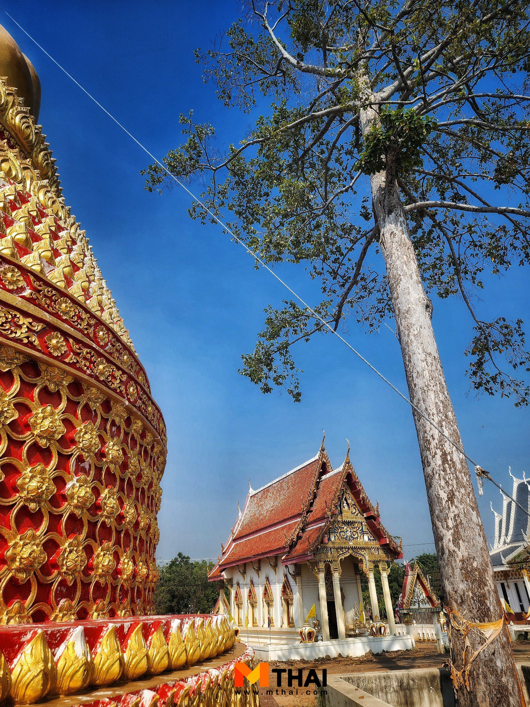 กิจกรรม MThai ใส่บาตรออนไลน์ วัดเกาะเกรียง วันที่ 12 ธันวาคม 2566