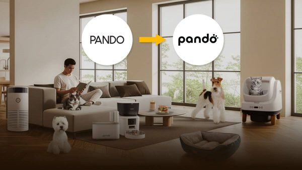 pando ประกาศรีแบรนด์ครั้งใหญ่ในรอบ 5 ปี จับมือ Rabbit Rewards พร้อม ...